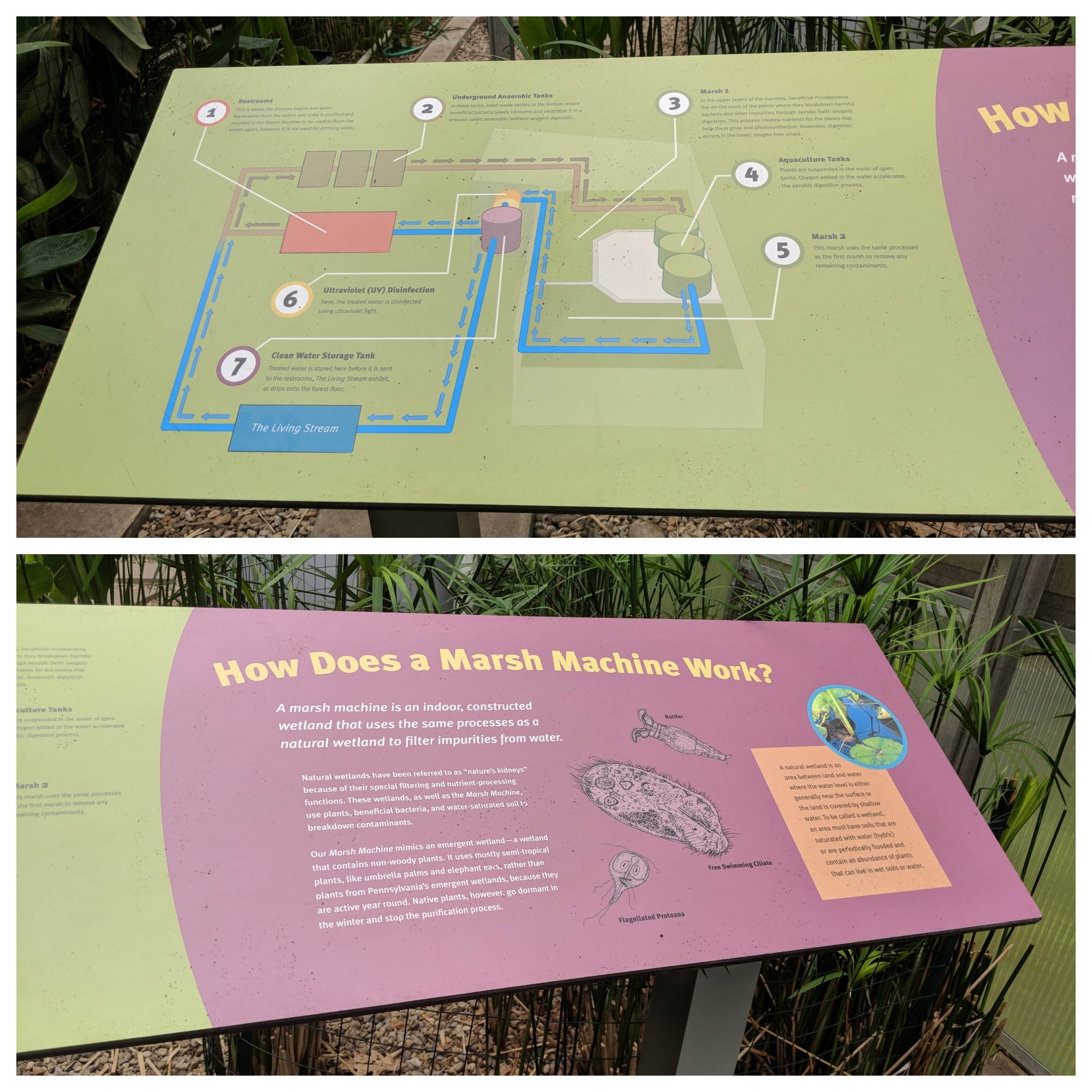 A Visit to Powdermill Nature Reserve – The (Not so) Rural Pennsylvanian