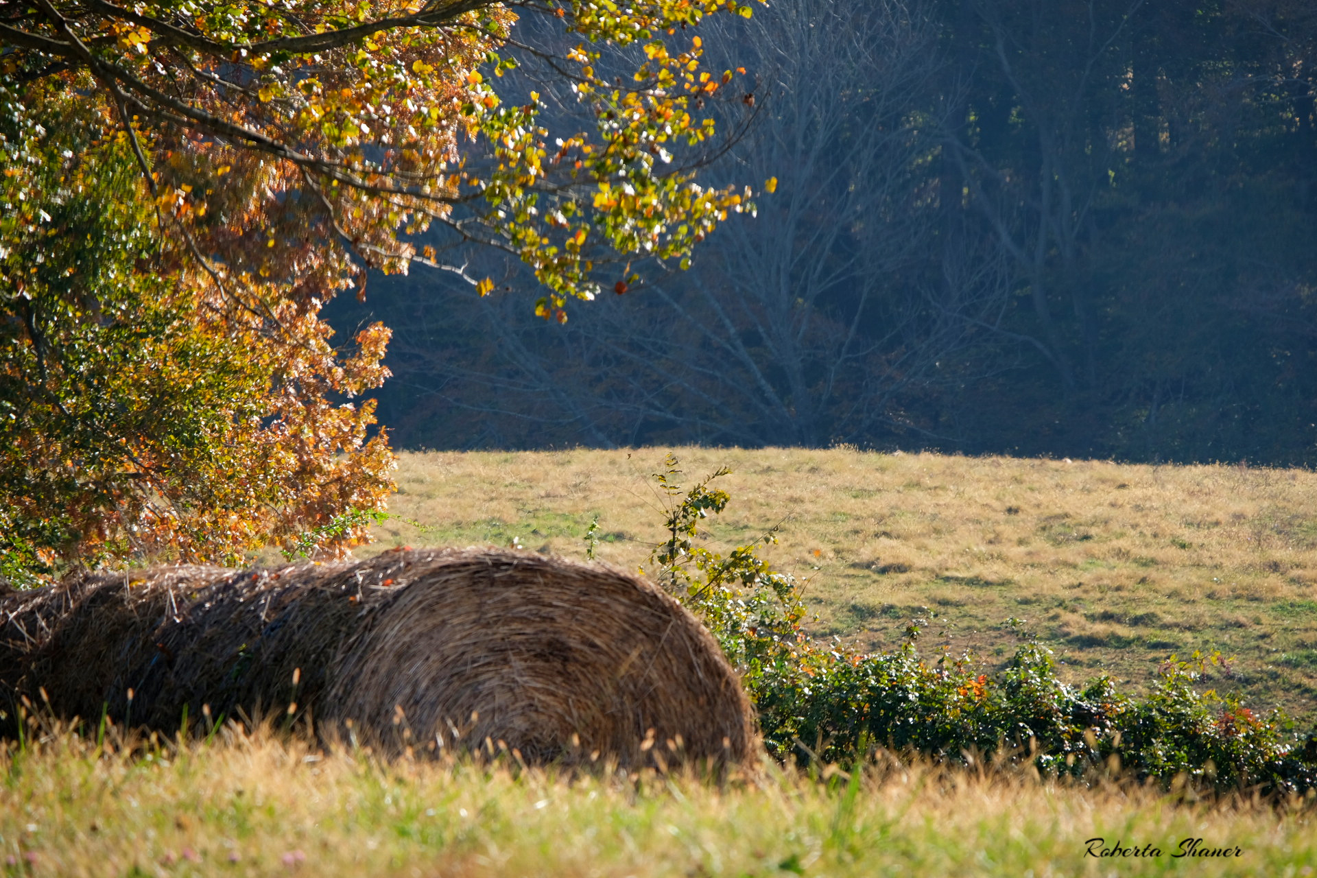 The Remains of Ardrossan Farms – The (Not so) Rural Pennsylvanian